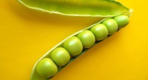 Marketing your crowdfunding campaign - the 7 “P”s | crowdfunduk